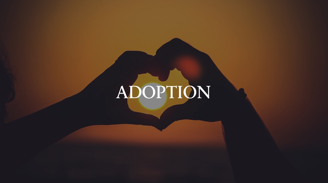 Word of the Week: Adoption | chrishefner.org